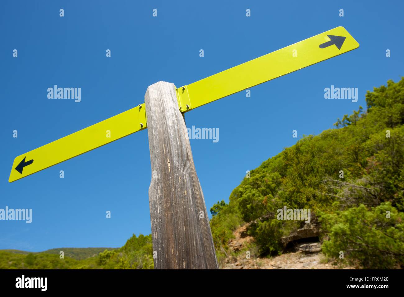 View of two directional green signals Stock Photo - Alamy