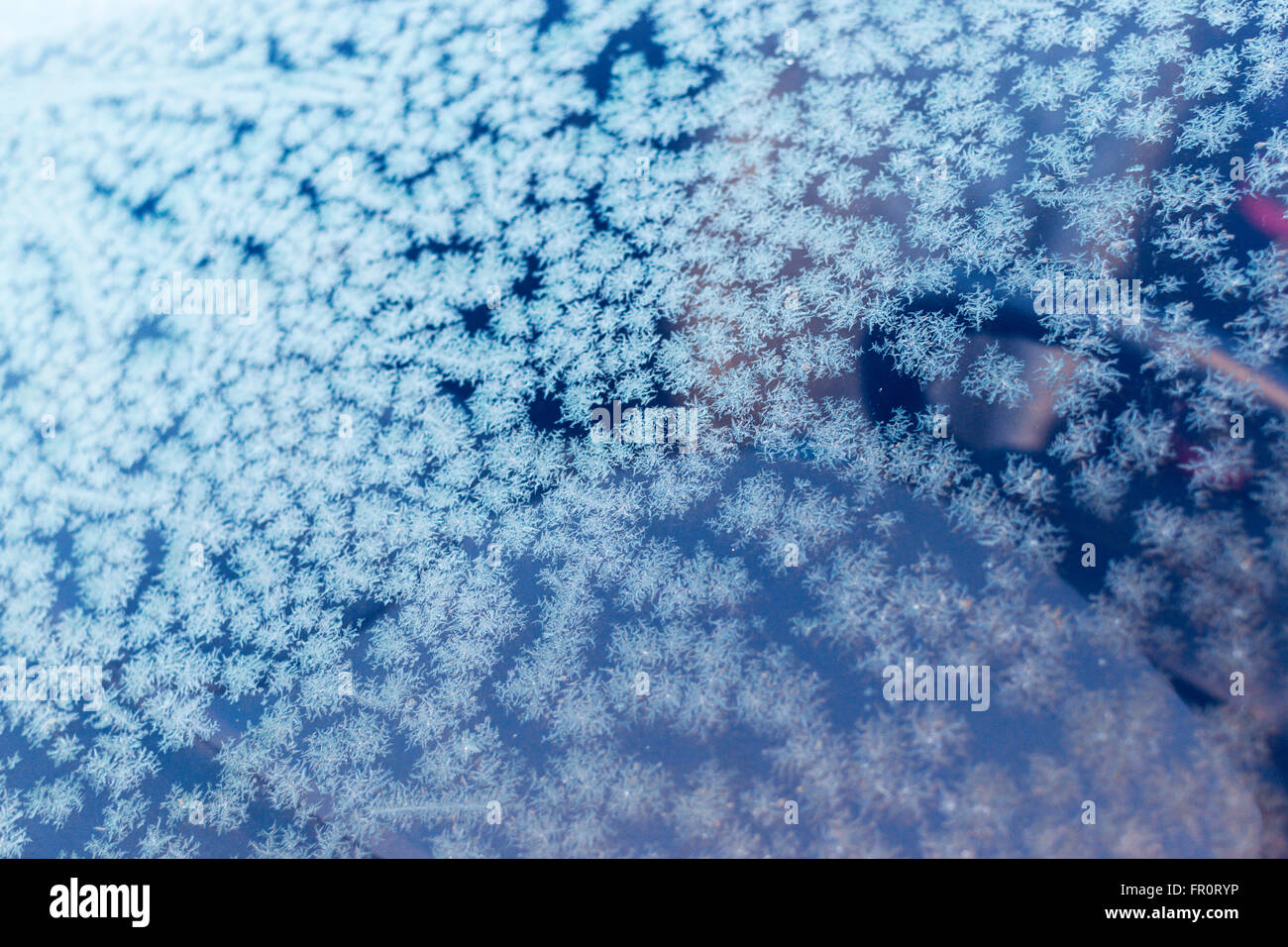 Frost patterns on a glass window creates winter themed patterns with a ...