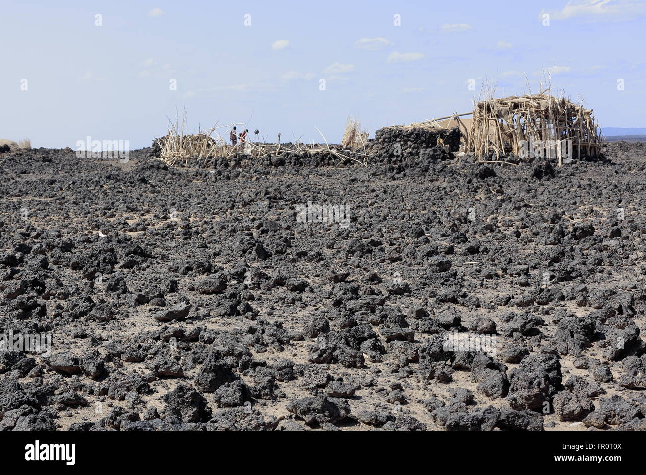 Hut or ari of the Afar people with oval shape made of palm mats ...