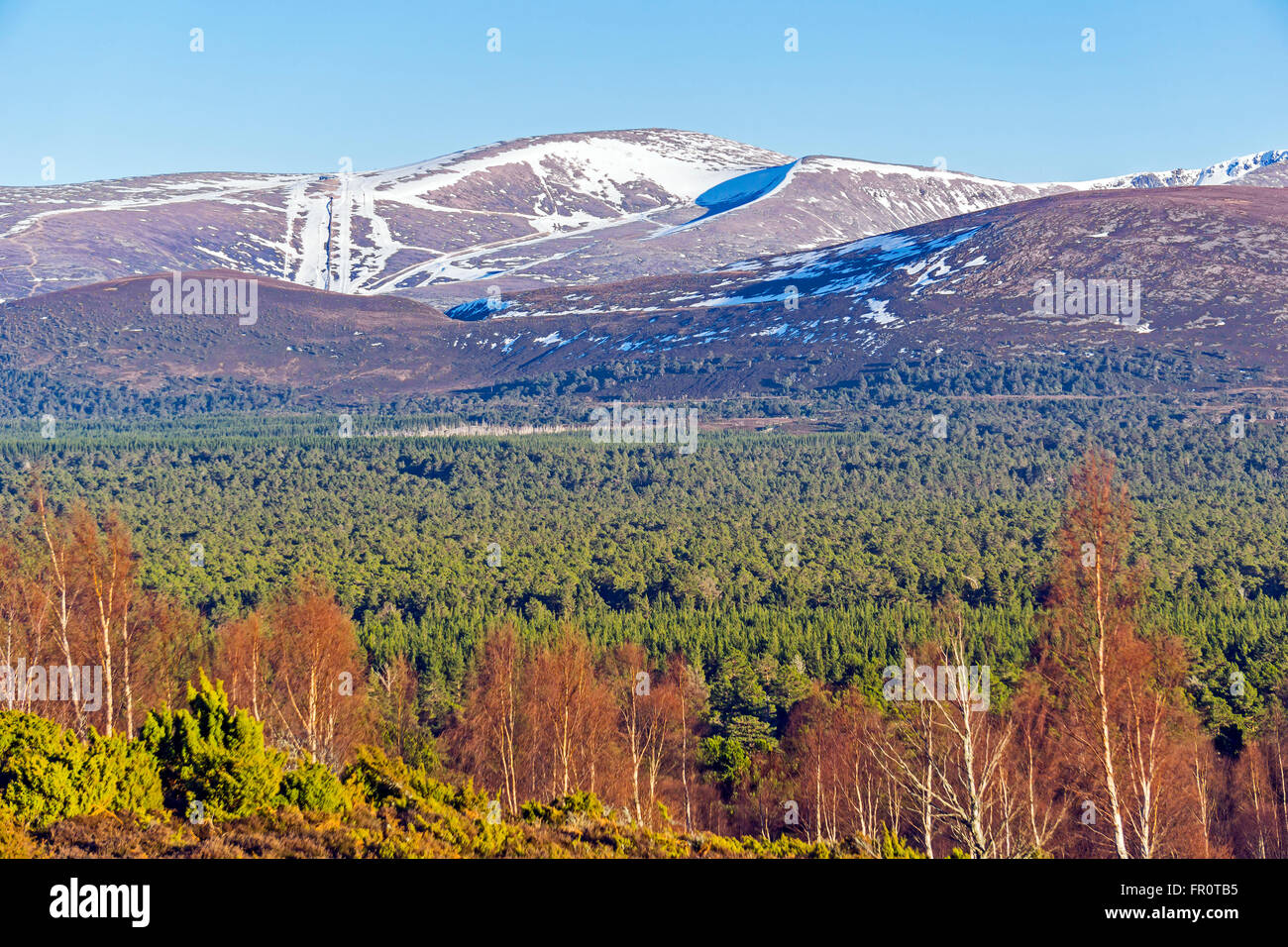 Mighty Scottish mountain Cairn Gorm in the Cairngorms National Park on ...