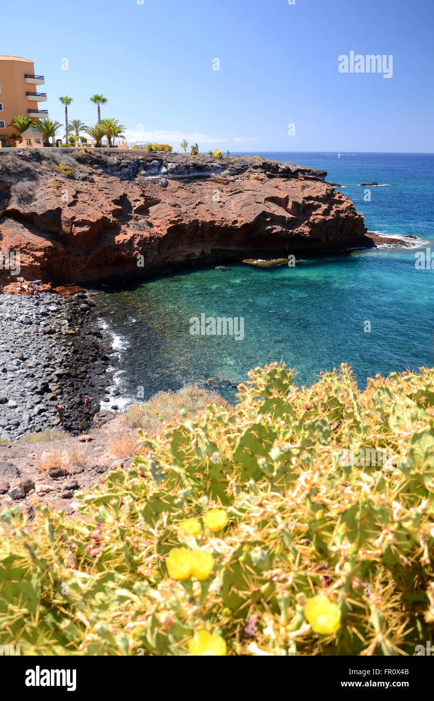 Turquoise bay and volcanic cliffs in Playa Paraiso on Tenerife, Spain ...