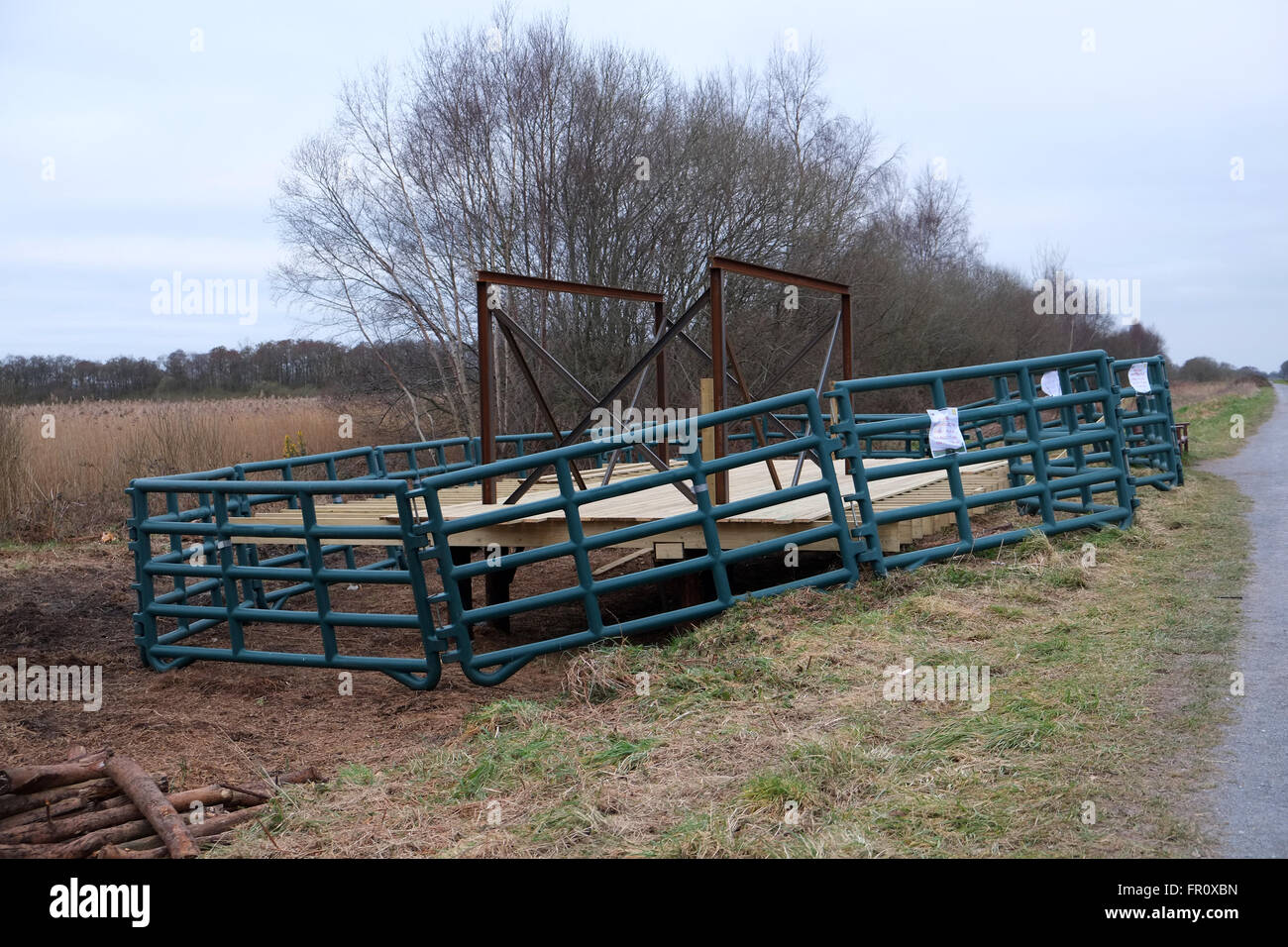 Bird watchers hide under construction by English Nature near Ham Wall ...