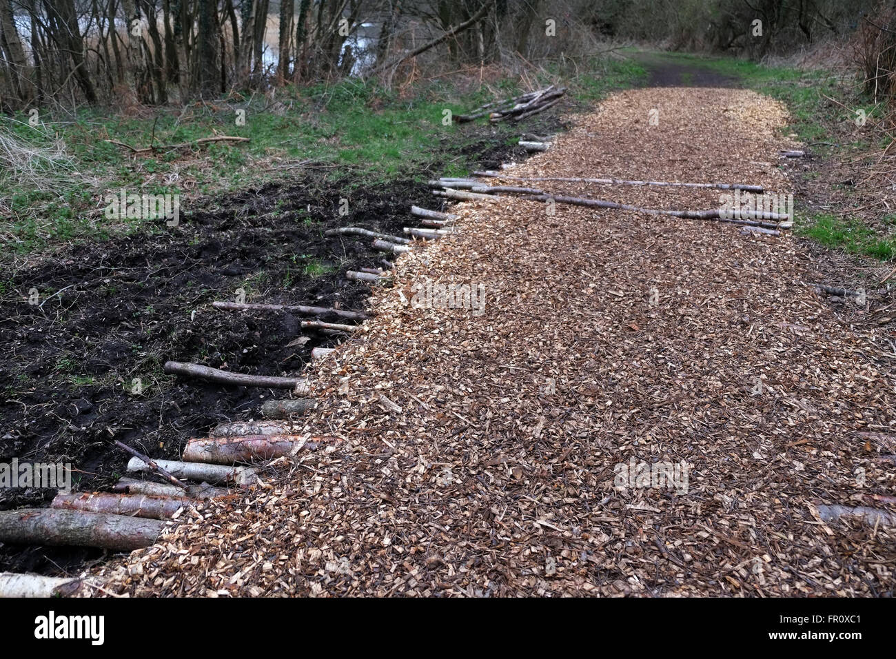 Natural wood chip path through the woods for a nature trail, with logs ...