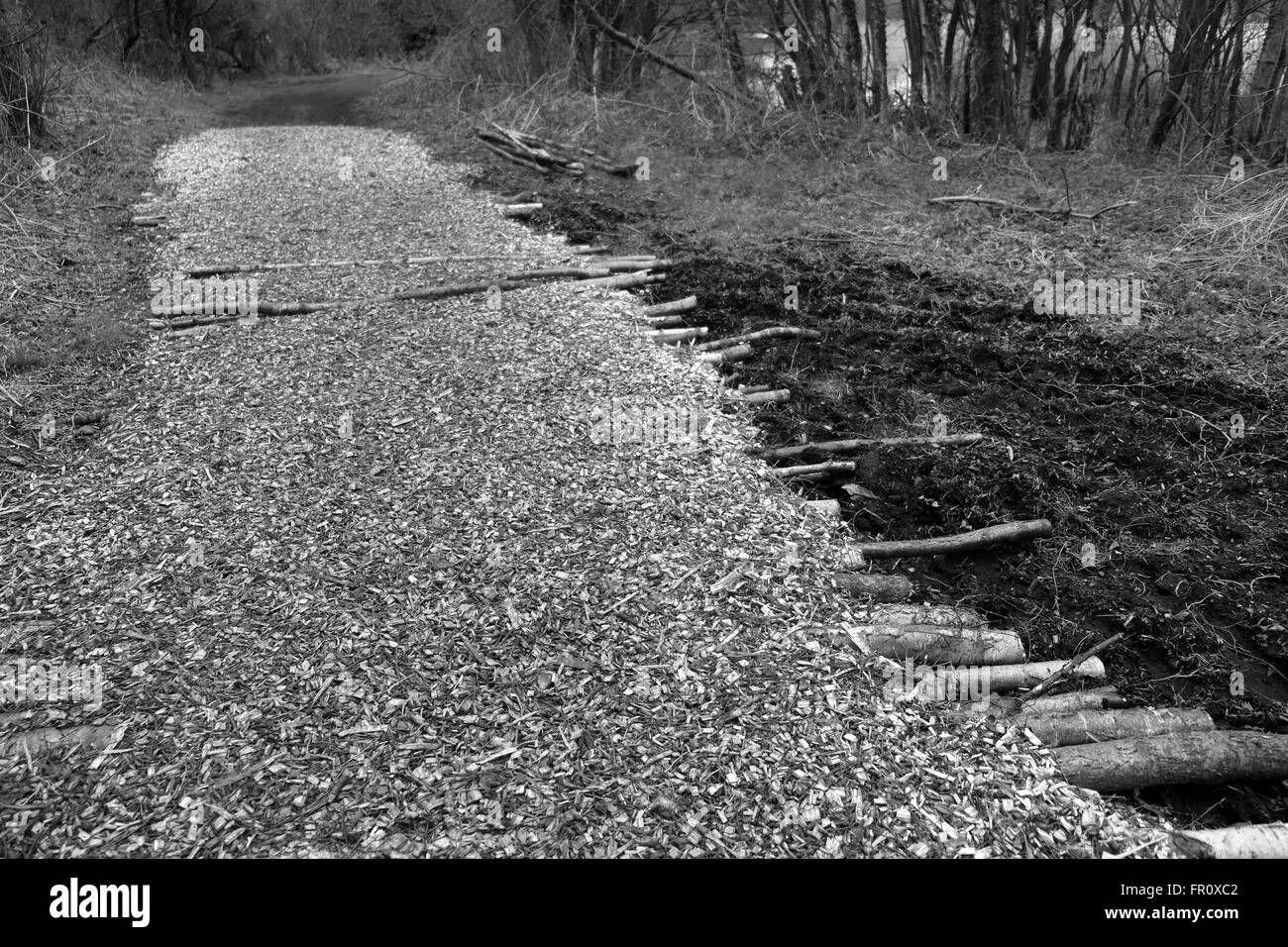 Natural wood chip path through the woods for a nature trail, with logs ...