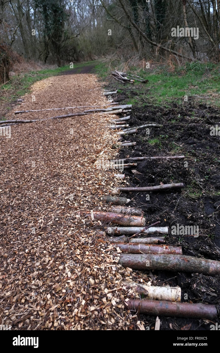 Natural wood chip path through the woods for a nature trail, with logs ...