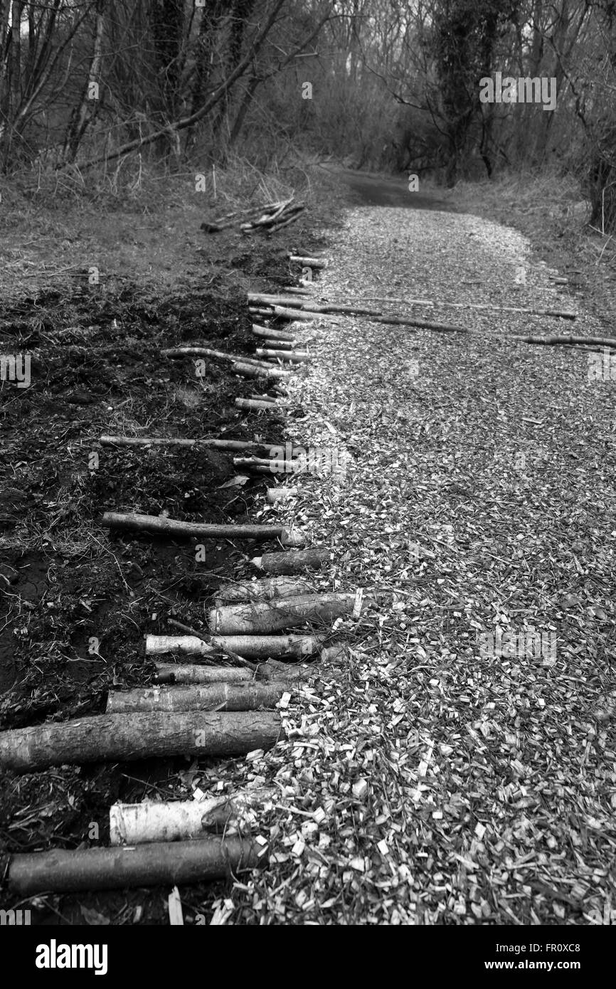 Natural wood chip path through the woods for a nature trail, with logs ...
