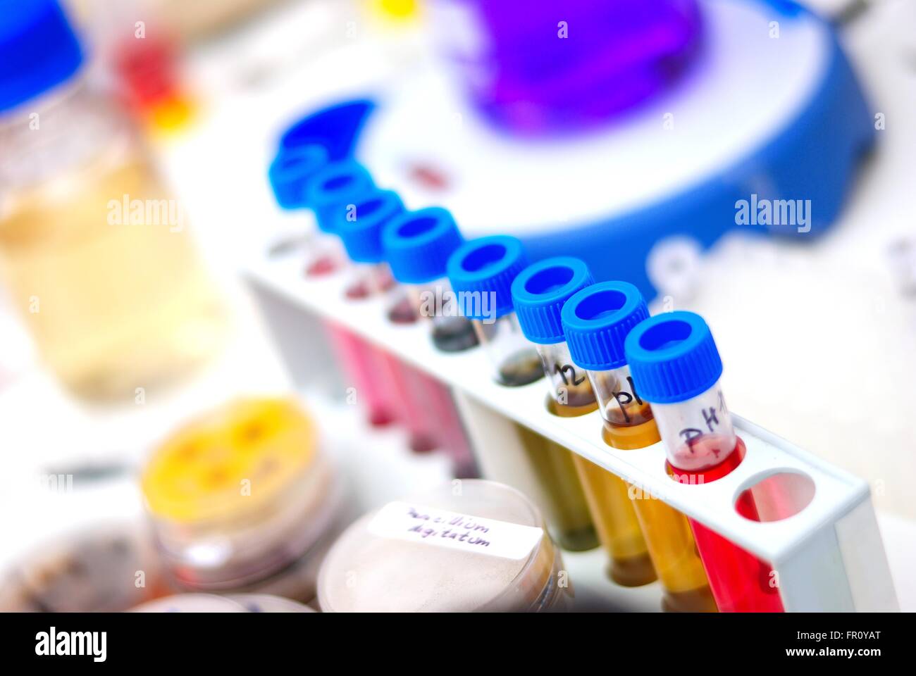 Chemistry Test Tubes with Chemicals Stock Photo - Alamy