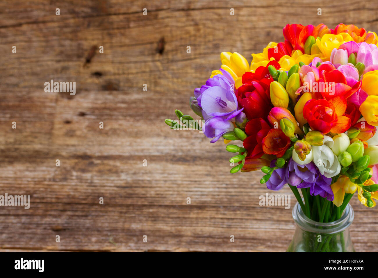 Freesias garden border hi-res stock photography and images - Alamy