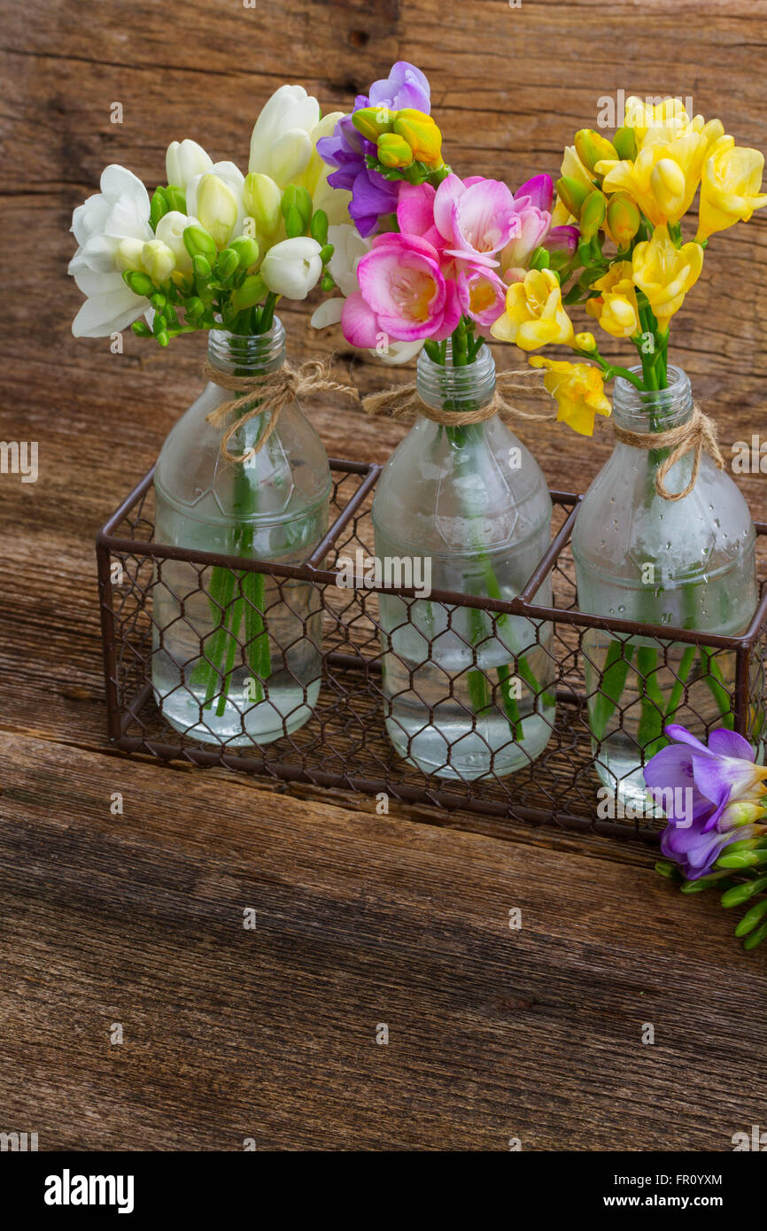 Freesias garden border hi-res stock photography and images - Alamy