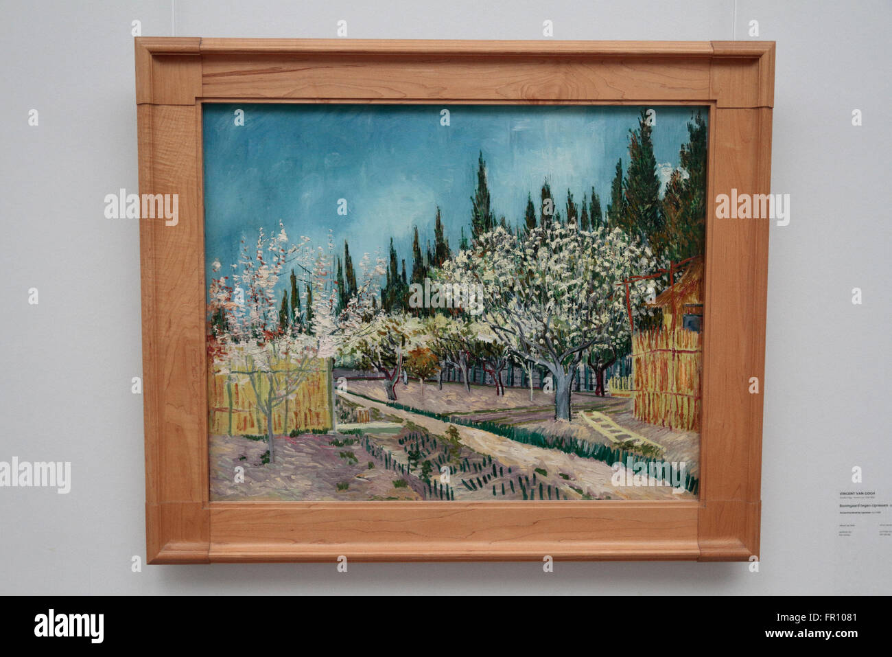 Van gogh orchard with cypresses hi-res stock photography and images - Alamy