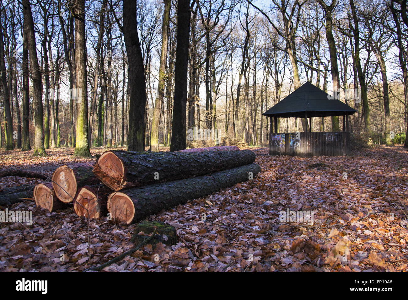 Wood arbour hi-res stock photography and images - Alamy