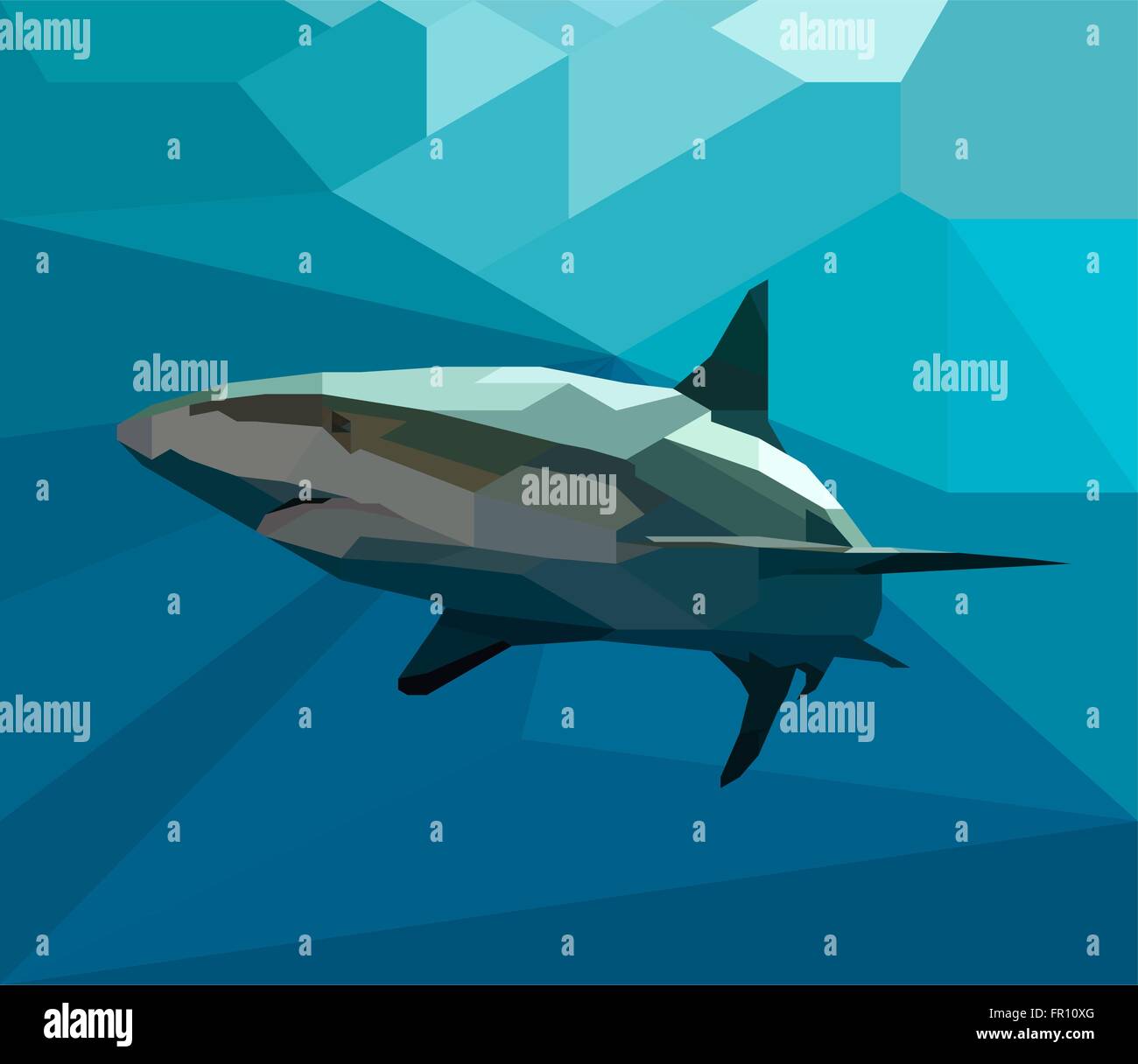 Polygon Shark Vector High Resolution Stock Photography and Images - Alamy