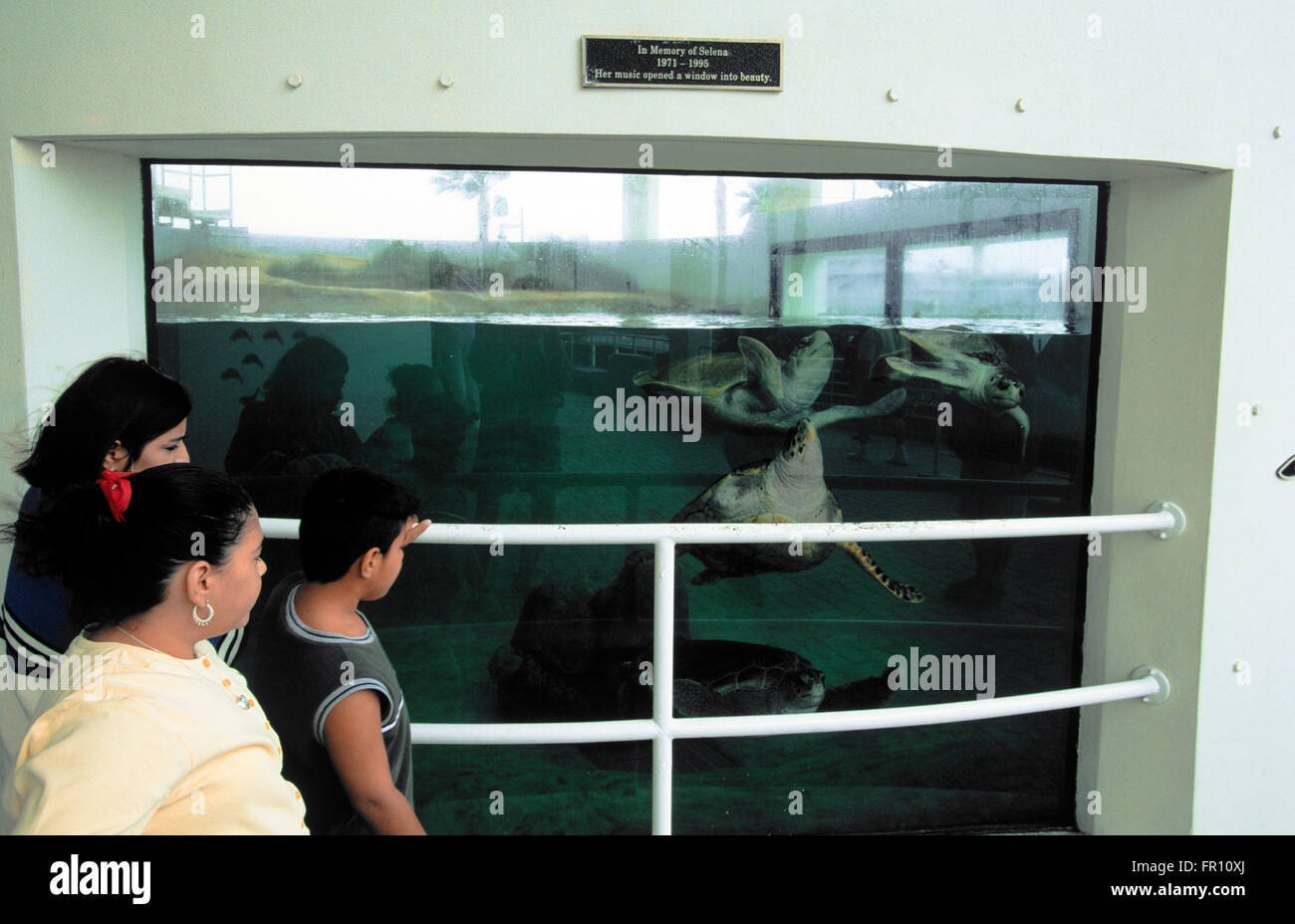 The Texas State Aquarium houses more than 250 species of animals and ...