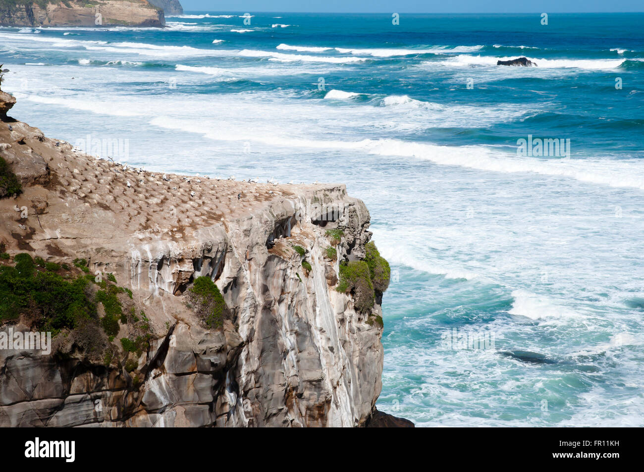 Muriwai Coast - New Zealand Stock Photo - Alamy