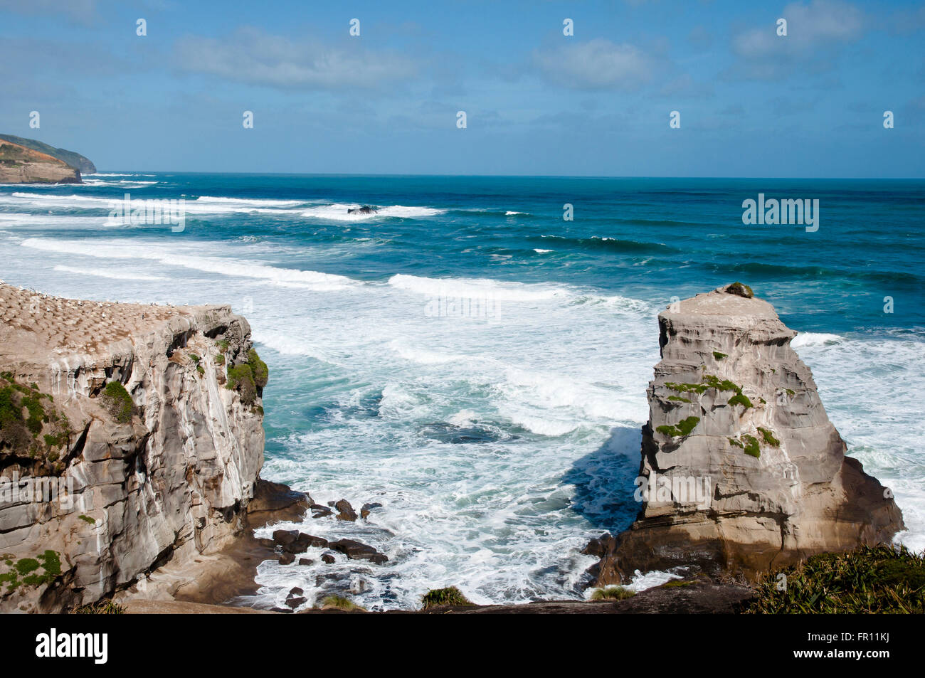 Muriwai Coast - New Zealand Stock Photo - Alamy
