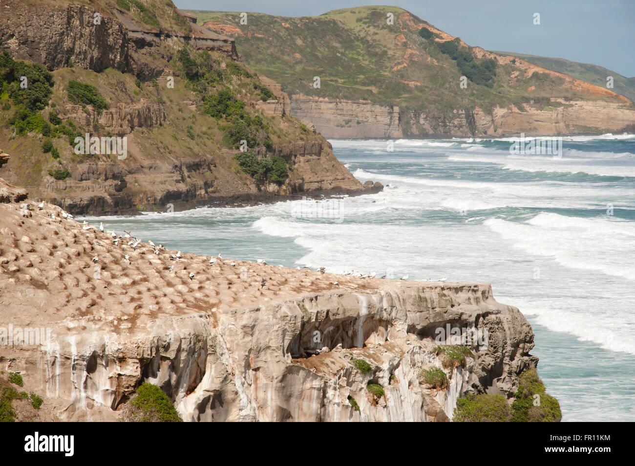 Muriwai sand hi-res stock photography and images - Alamy