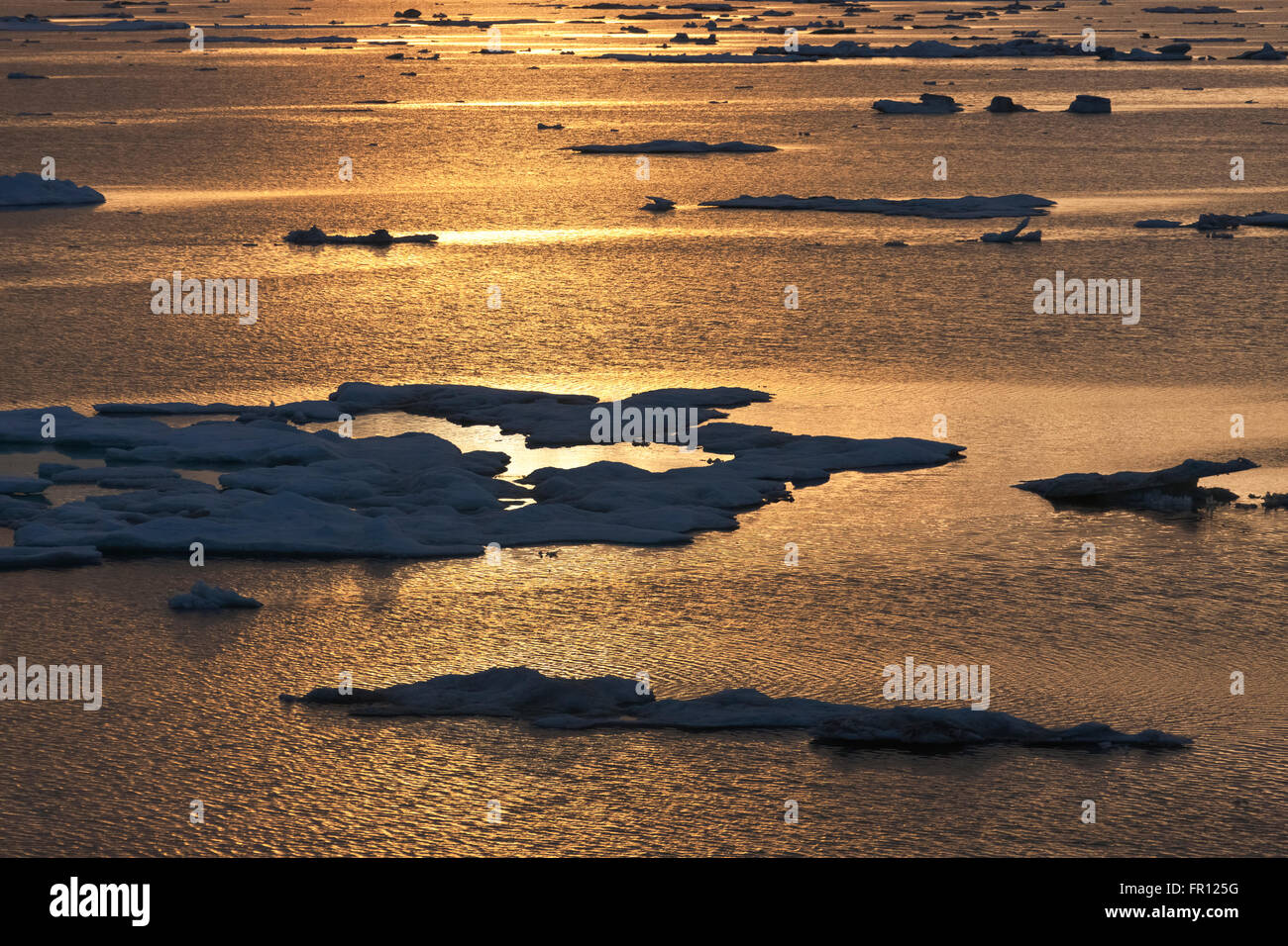 Sunset view of floating ice in Chukchi Sea, Russia Far East Stock Photo ...