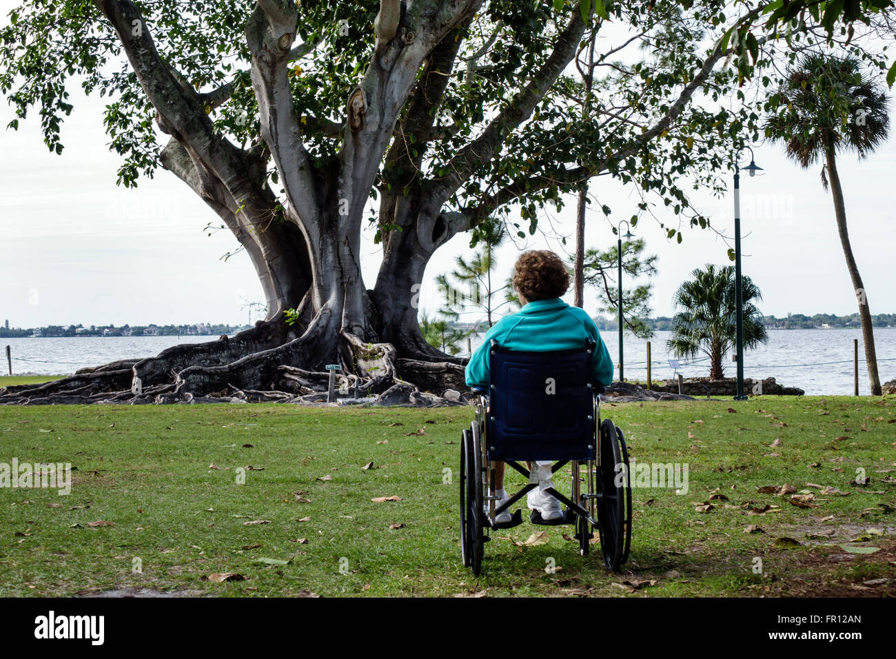 Fort Ft. Myers Florida,Thomas Edison & Henry Ford Winter Estates ...