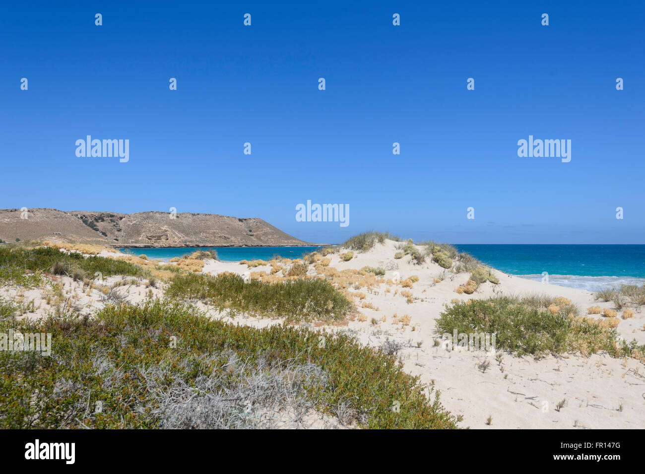Coastal Vegetation, Red Bluff, Point Quobba, near Carnarvon, Coral ...