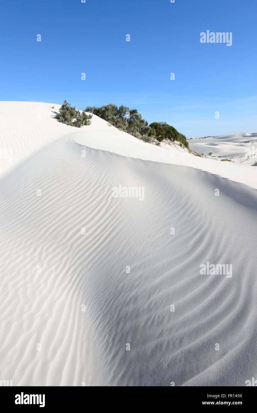 Yanerbie Sandhills, Streaky Bay, South Australia Stock Photo - Alamy