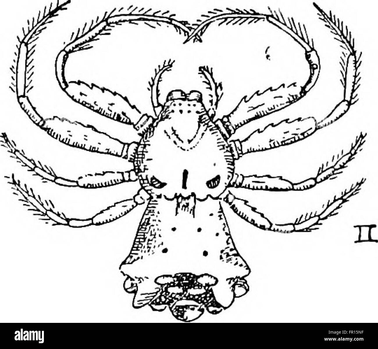 Wonder of life Black and White Stock Photos & Images - Alamy