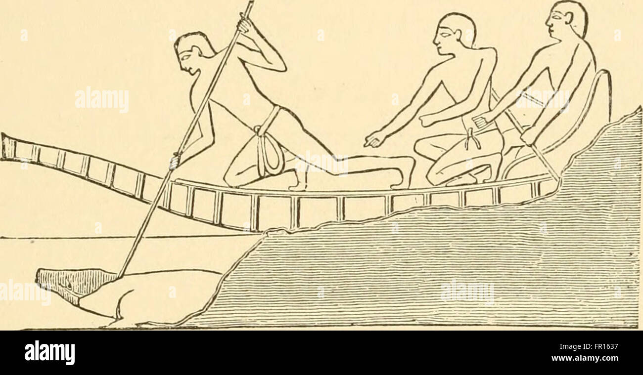 This 1884 adaptation of Herodotus' History simplifies ancient Greek ...
