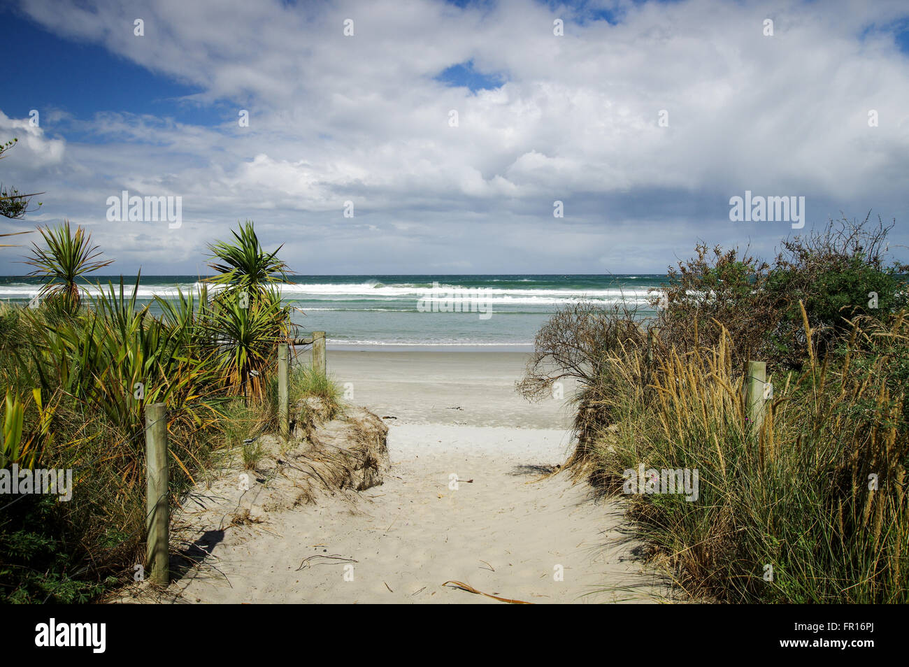 Brighton new zealand hi-res stock photography and images - Alamy