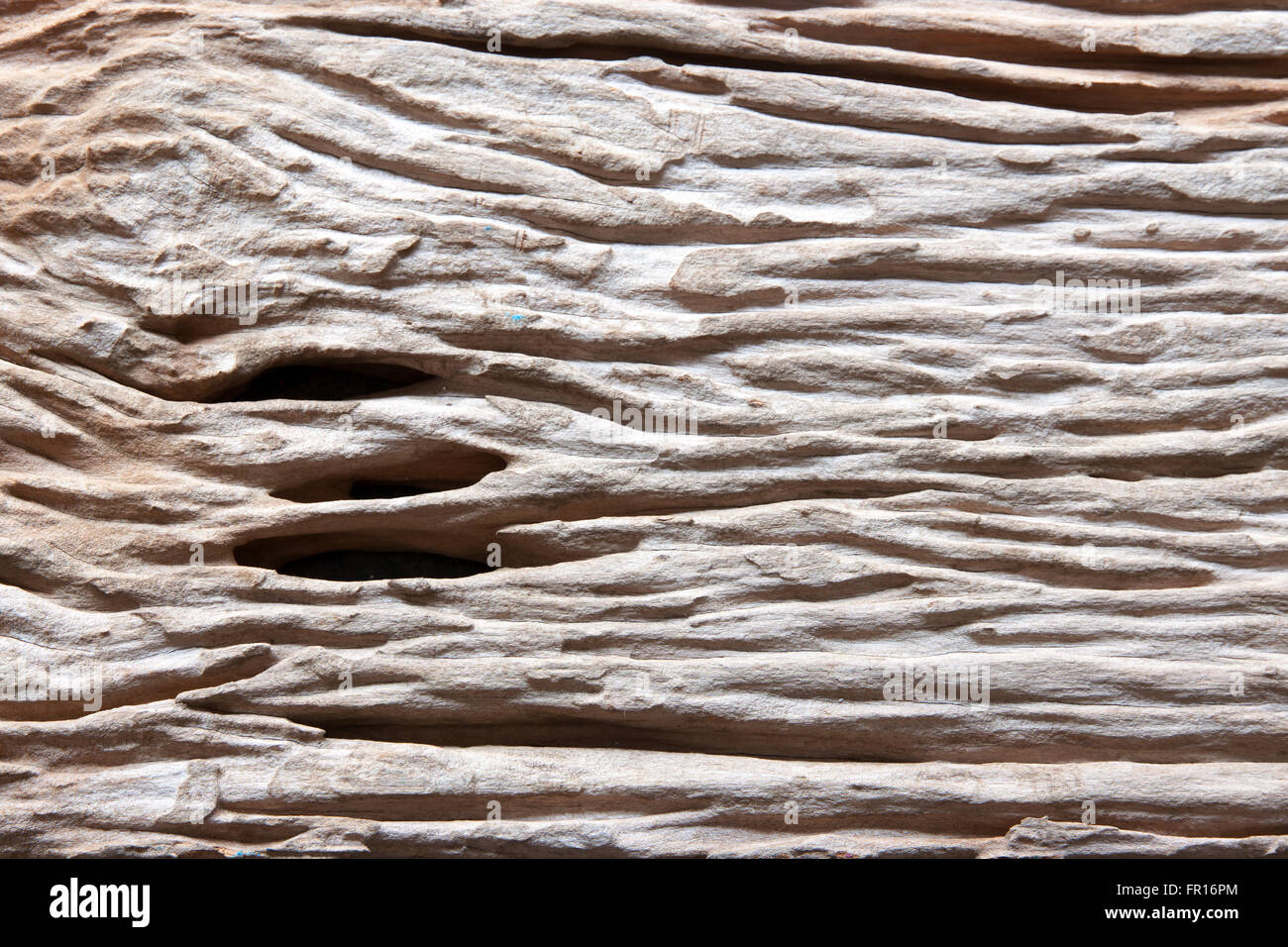 Rough natural wood. Corrosion show sub surface over time Stock Photo ...