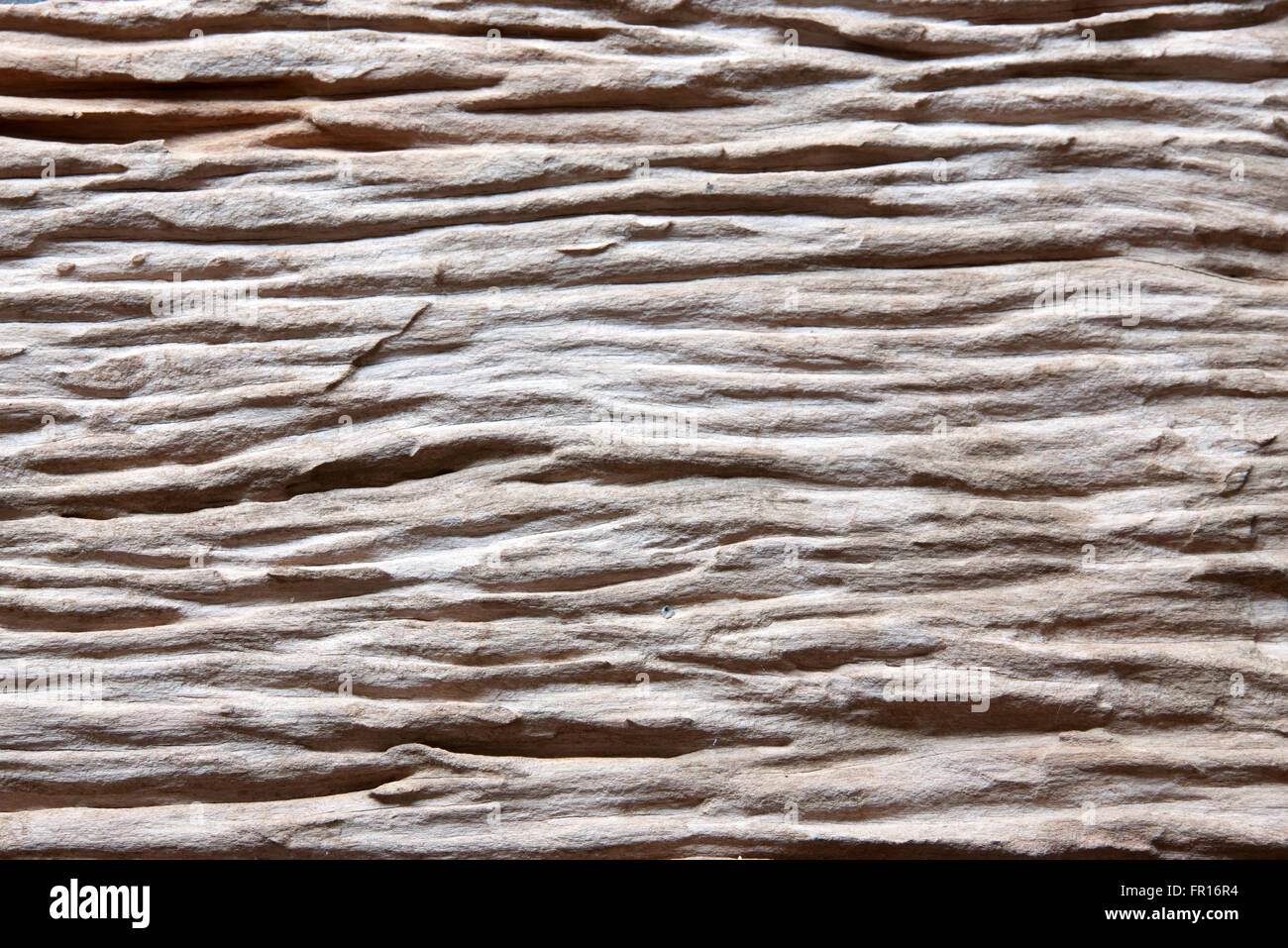 Rough natural wood. Corrosion show sub surface over time Stock Photo ...