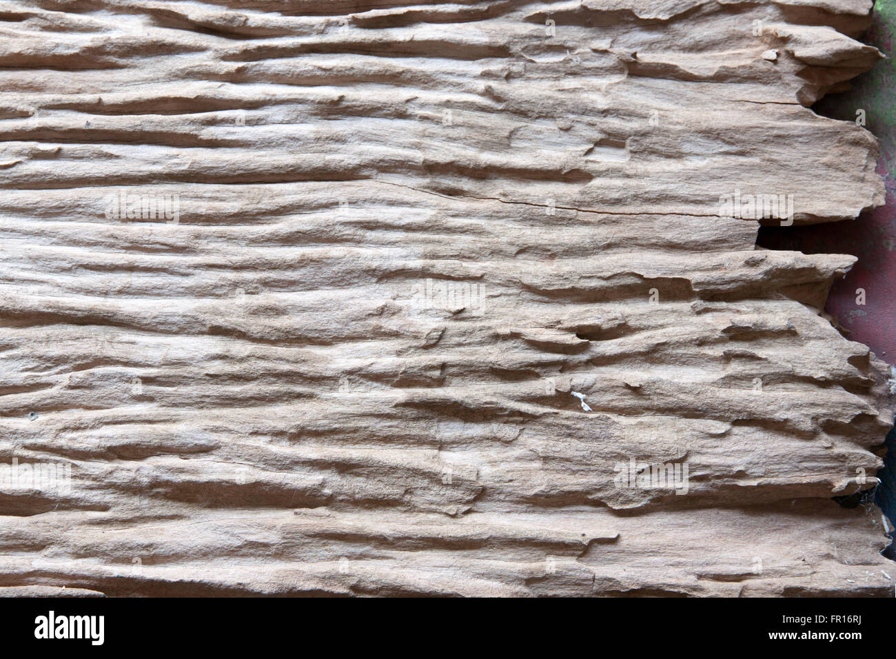 Rough natural wood. Corrosion show sub surface over time Stock Photo ...