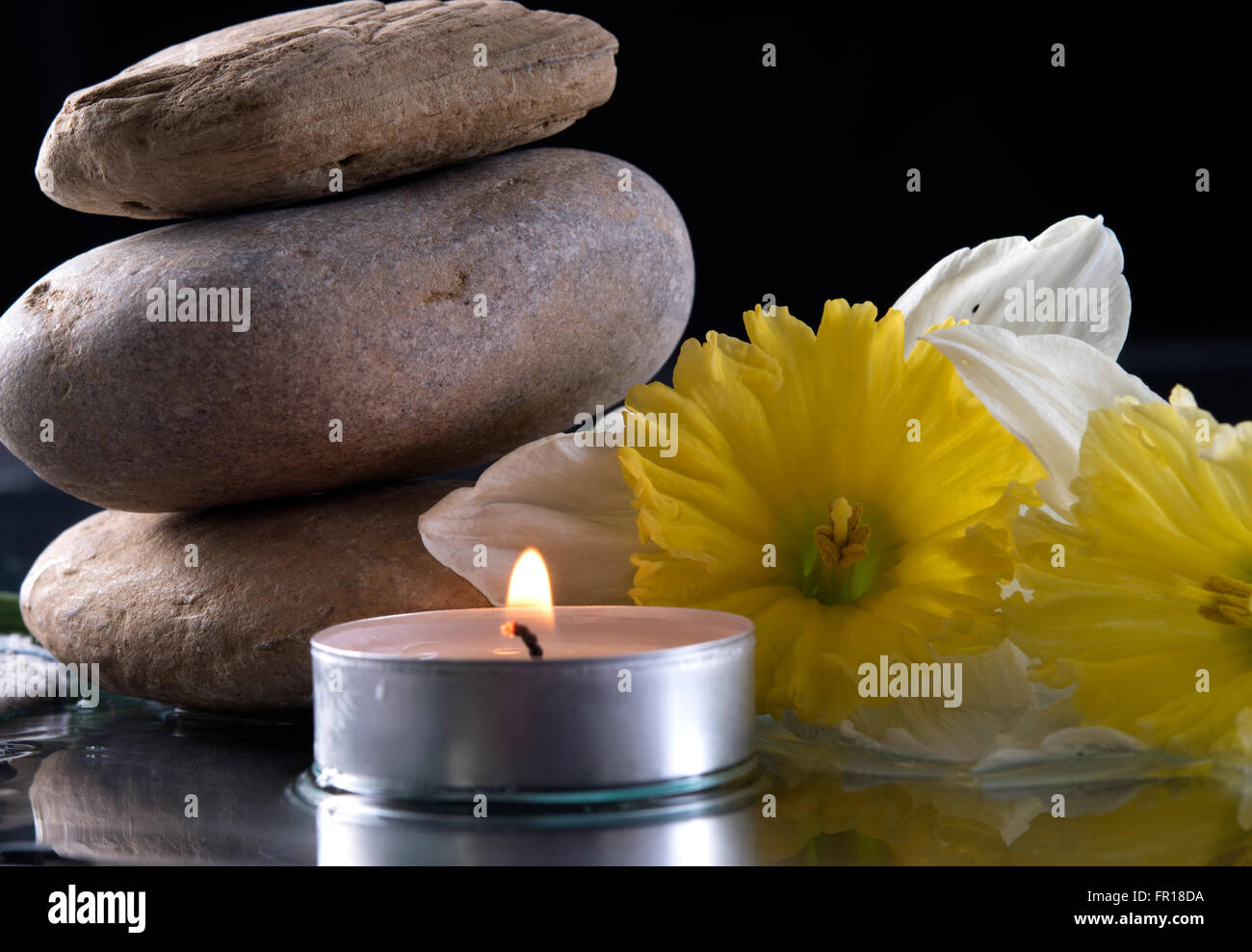 Candle flame daffodil flower hi-res stock photography and images - Alamy