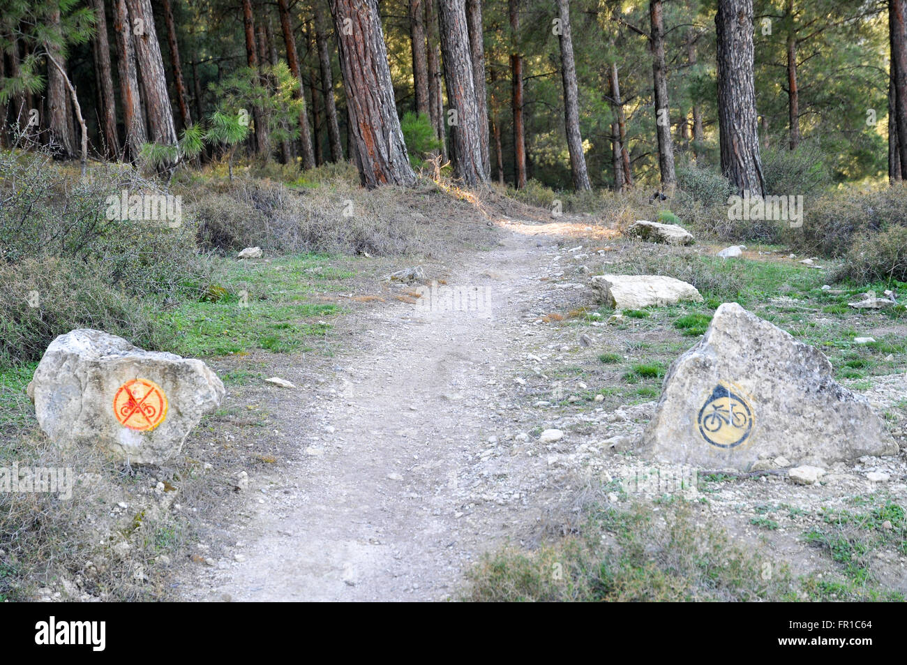 Biriya hi-res stock photography and images - Alamy