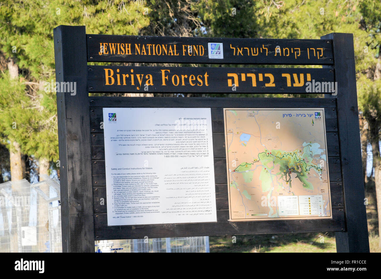 Biriya forest hi-res stock photography and images - Alamy