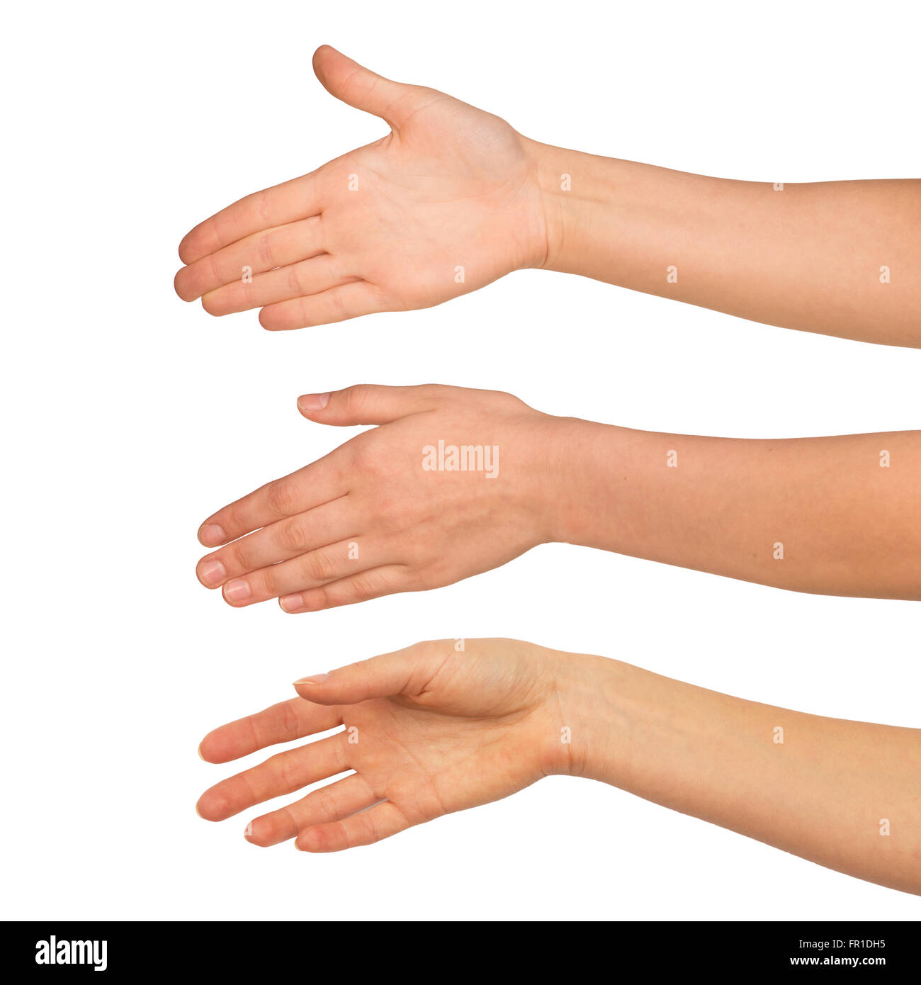 Set of woman arms Stock Photo - Alamy