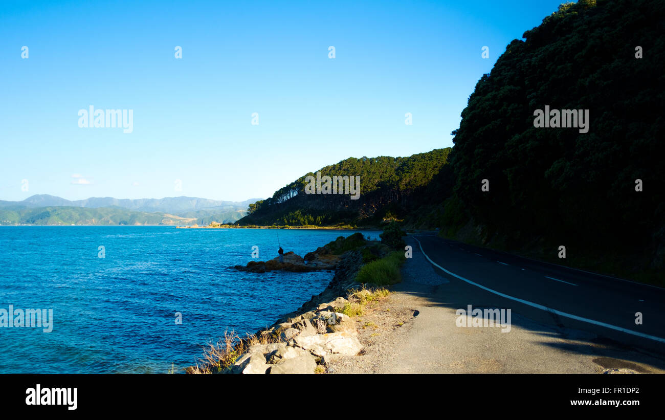 Scenery at Wellington Bay, New Zealand Stock Photo - Alamy