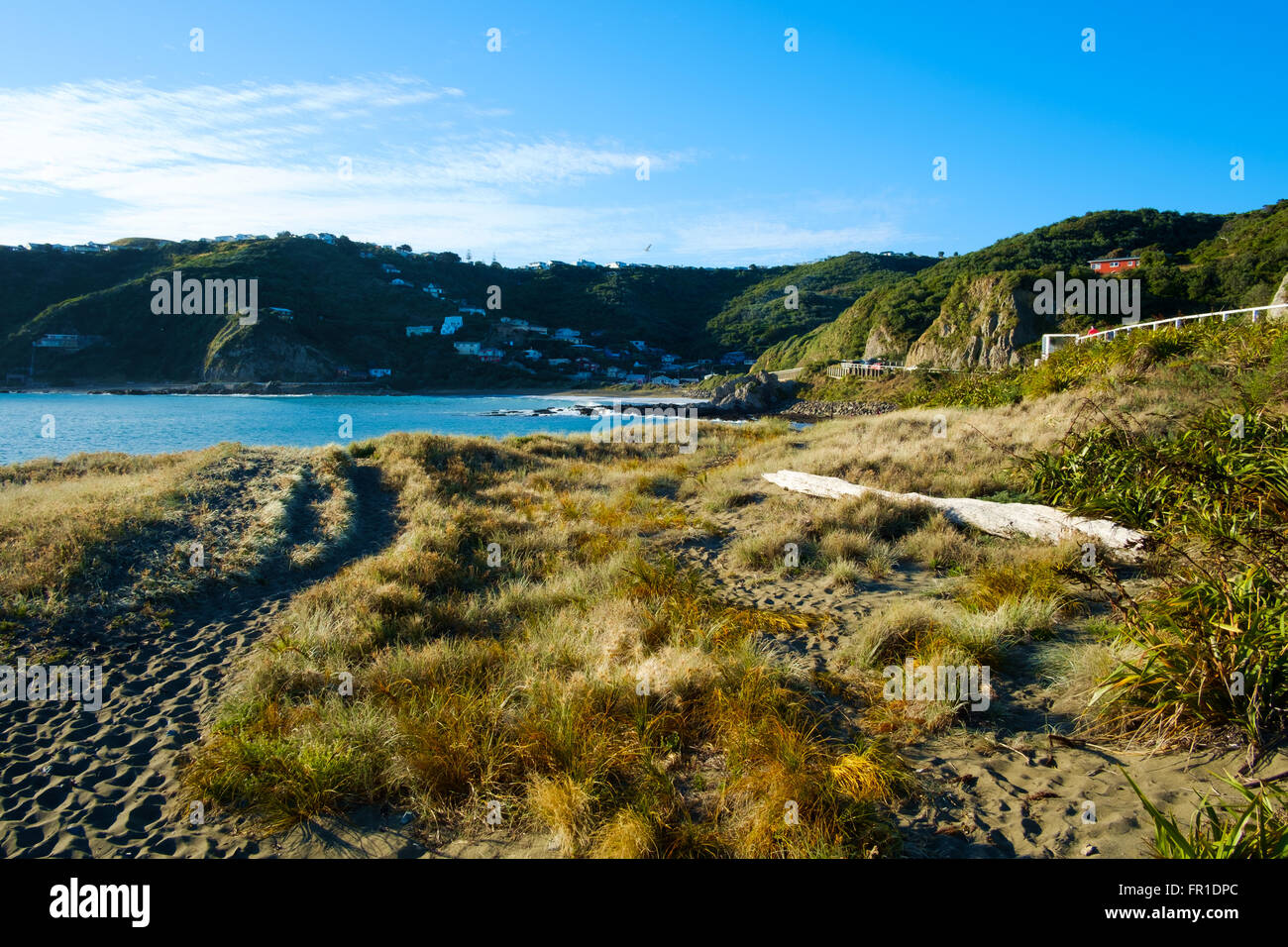 Wellington New Zealand Coastal Scenery Stock Photo - Alamy