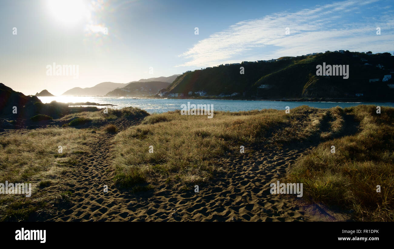 Wellington New Zealand Coastal Scenery Stock Photo - Alamy