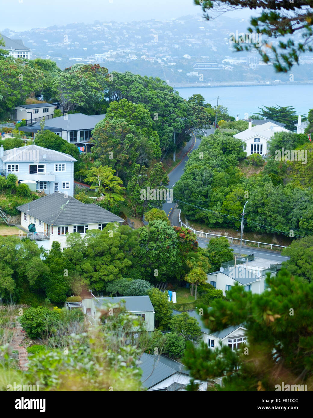 Wellington New Zealand Urban Scenery Stock Photo - Alamy