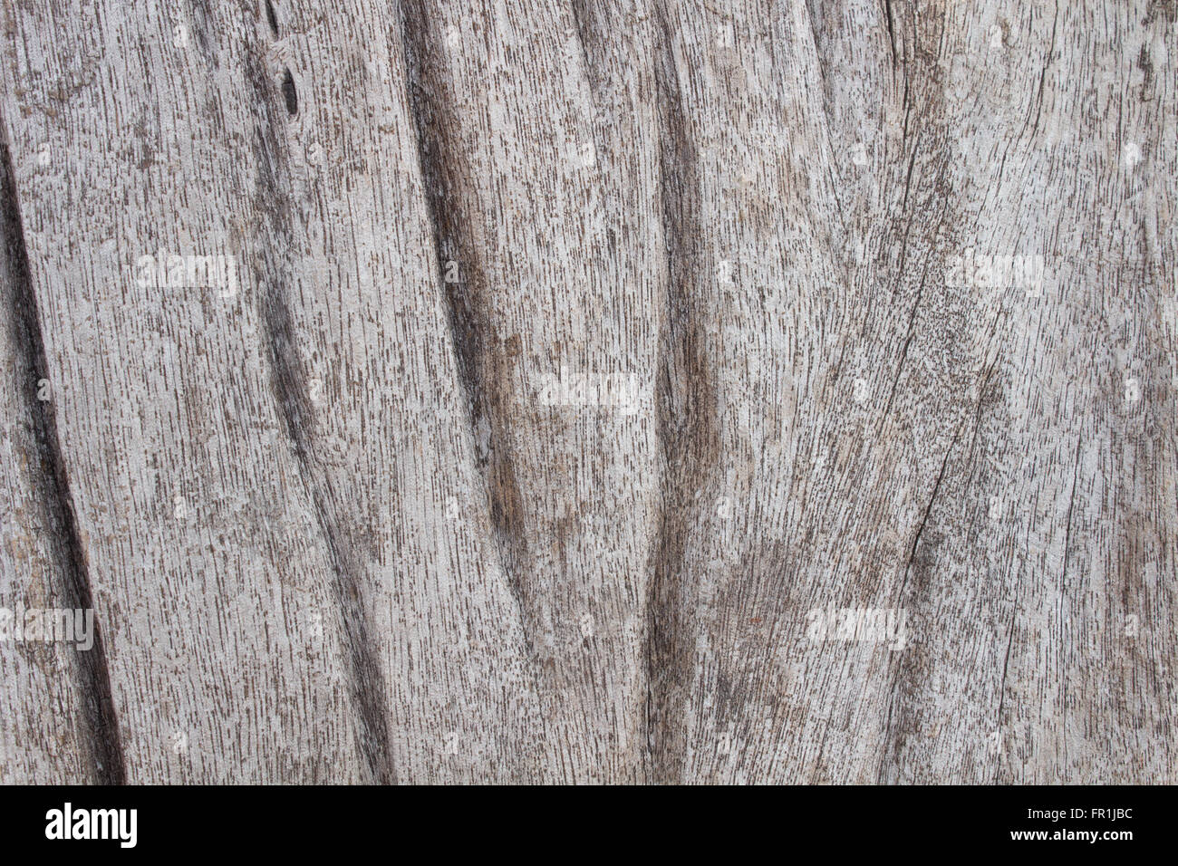 the surface of wood crack because moisture Stock Photo - Alamy