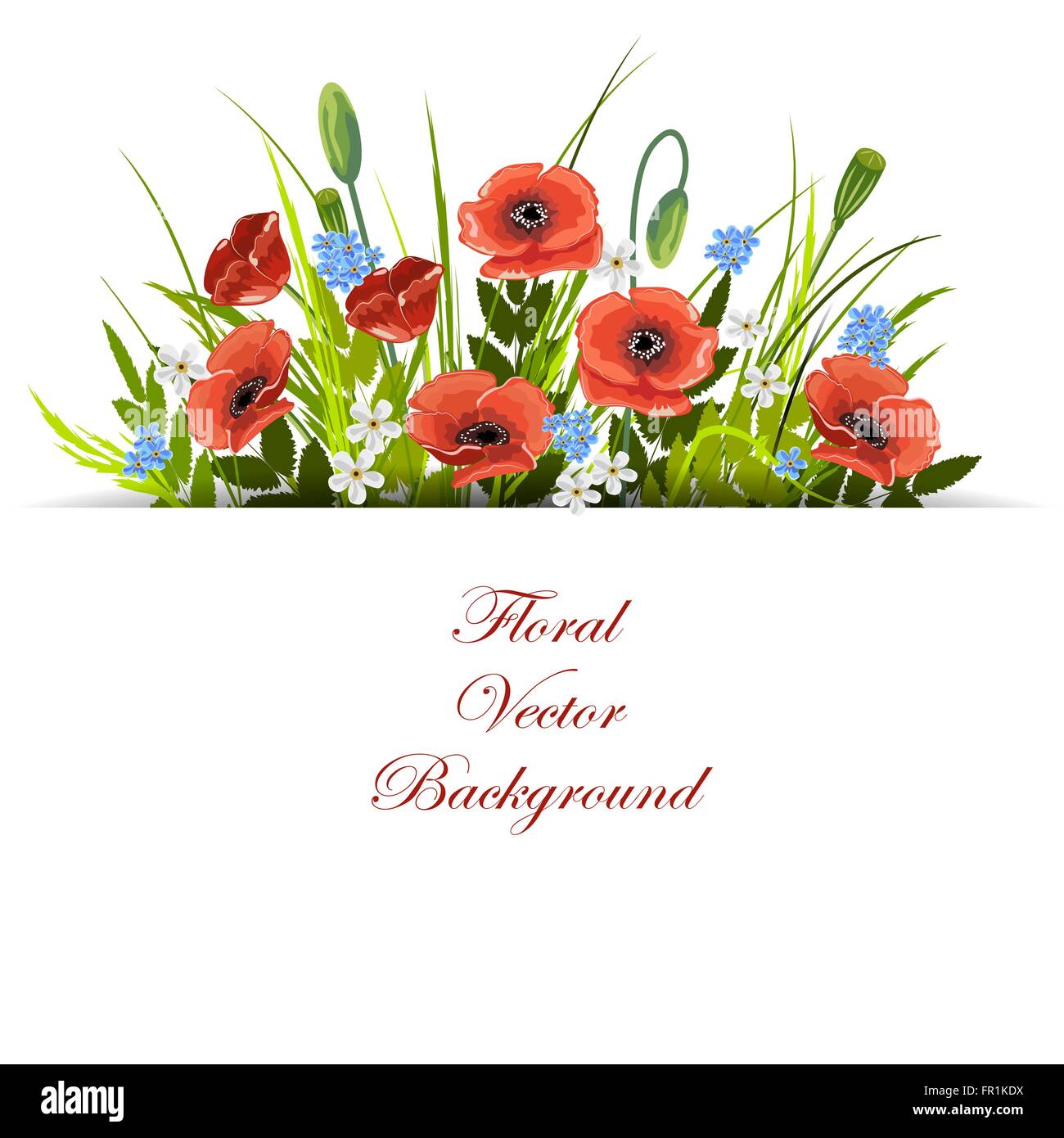 Floral vector background Stock Vector Image & Art - Alamy