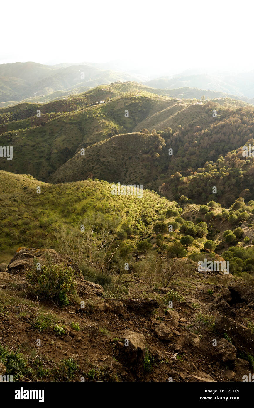 Miocene landscape hi-res stock photography and images - Alamy