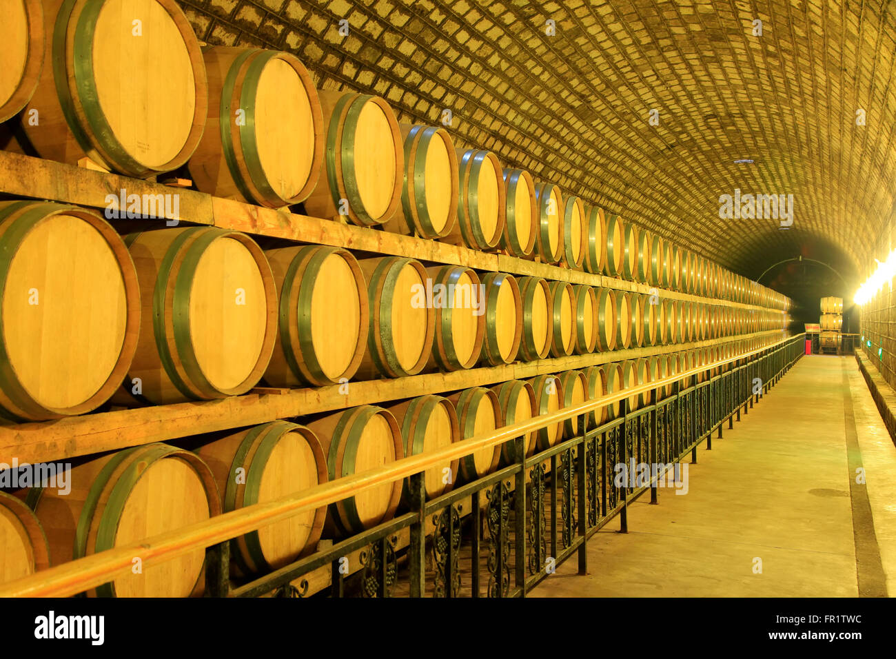 Wine Cellar with Wooden Barrels Stock Photo - Alamy