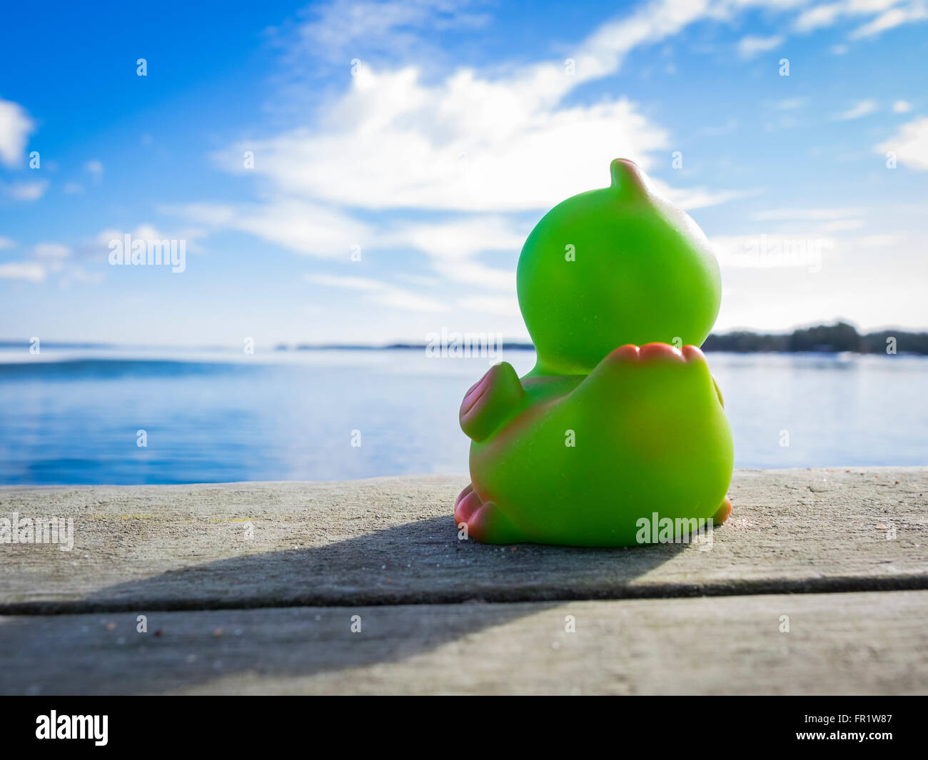 Green rubber duck hi-res stock photography and images - Alamy