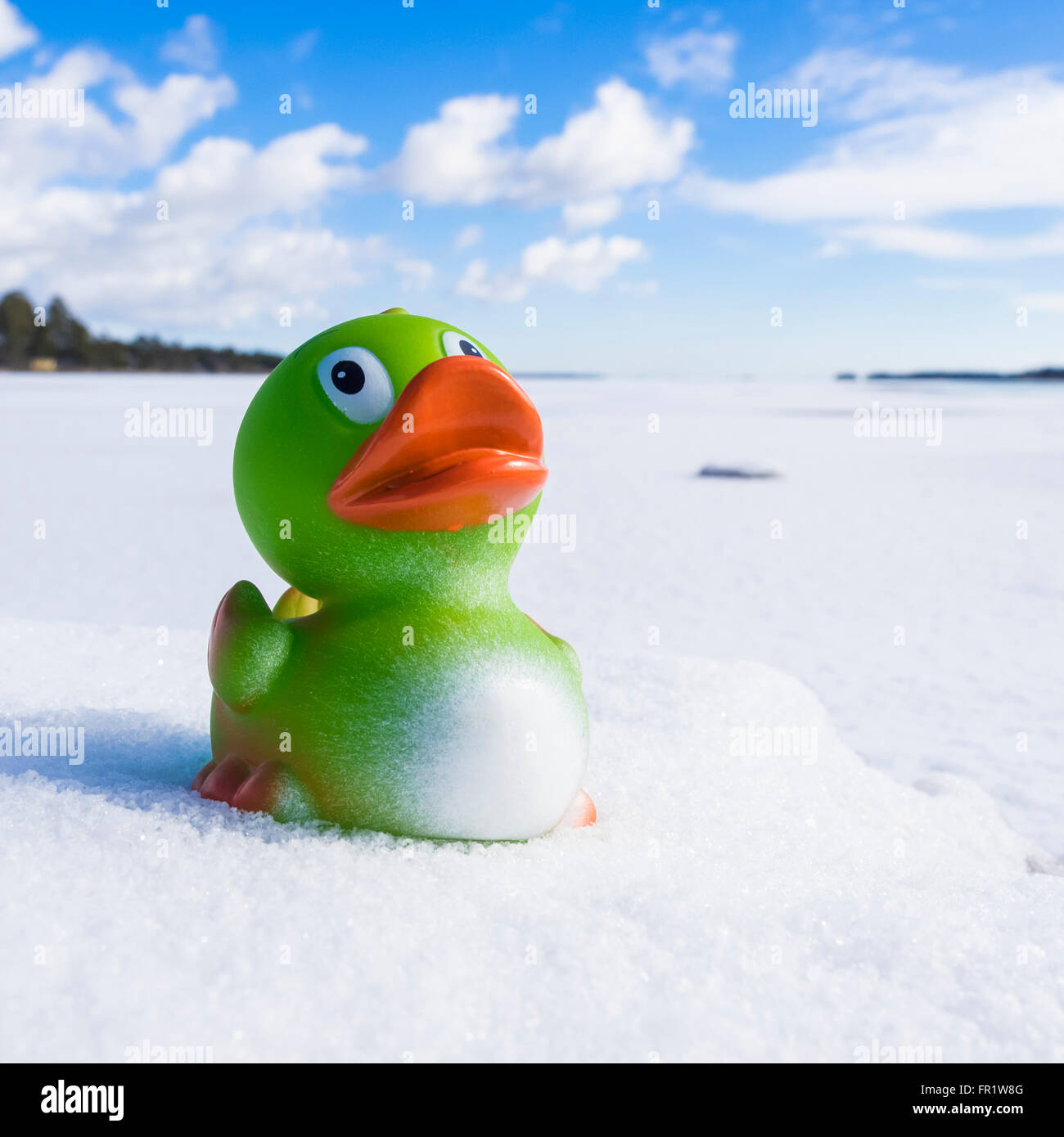 Green rubber duck hi-res stock photography and images - Alamy