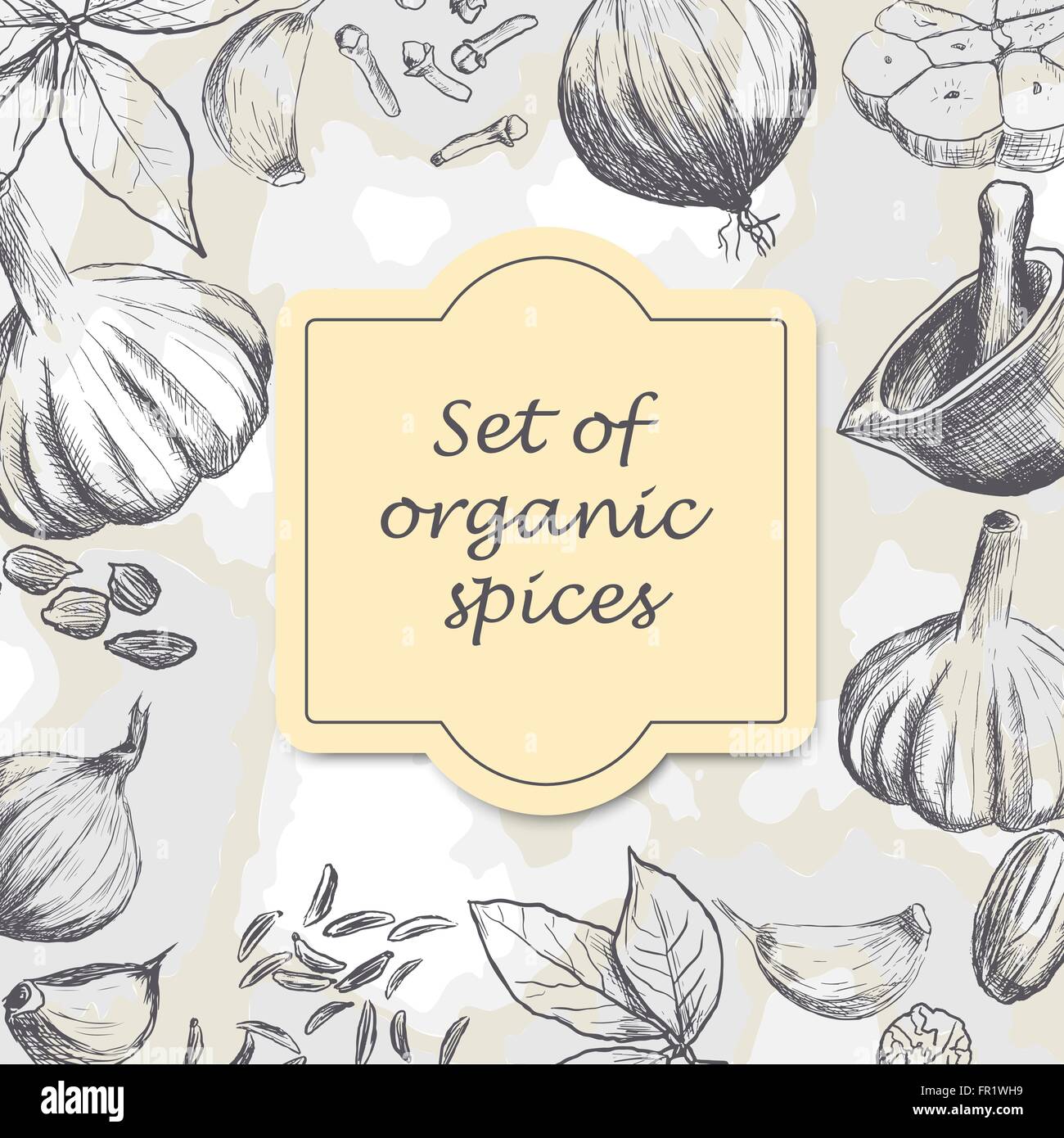 Hand drawn set of organic spices Stock Vector Image & Art - Alamy