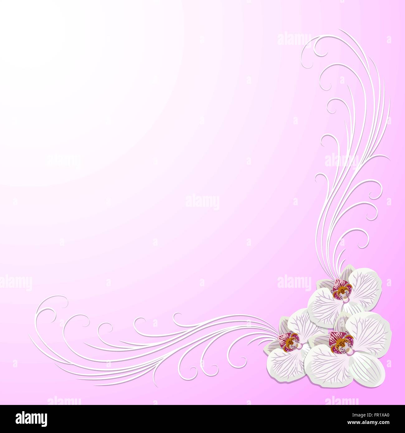Delicate corner frame with orchid flowers Stock Vector Image & Art - Alamy