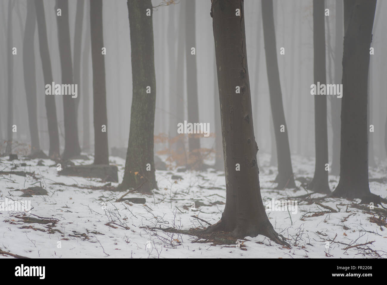Sleza mount hi-res stock photography and images - Alamy