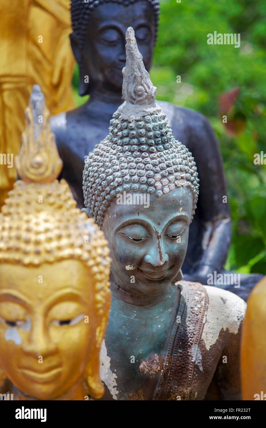 Image of colorful buddha statues Stock Photo - Alamy
