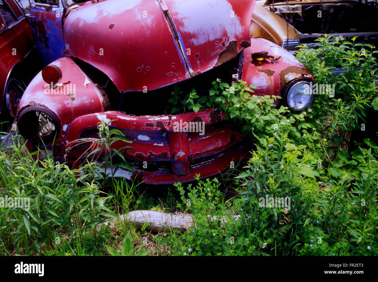 Old abandoned cars and pickup trucks in wrecking yard Stock Photo - Alamy