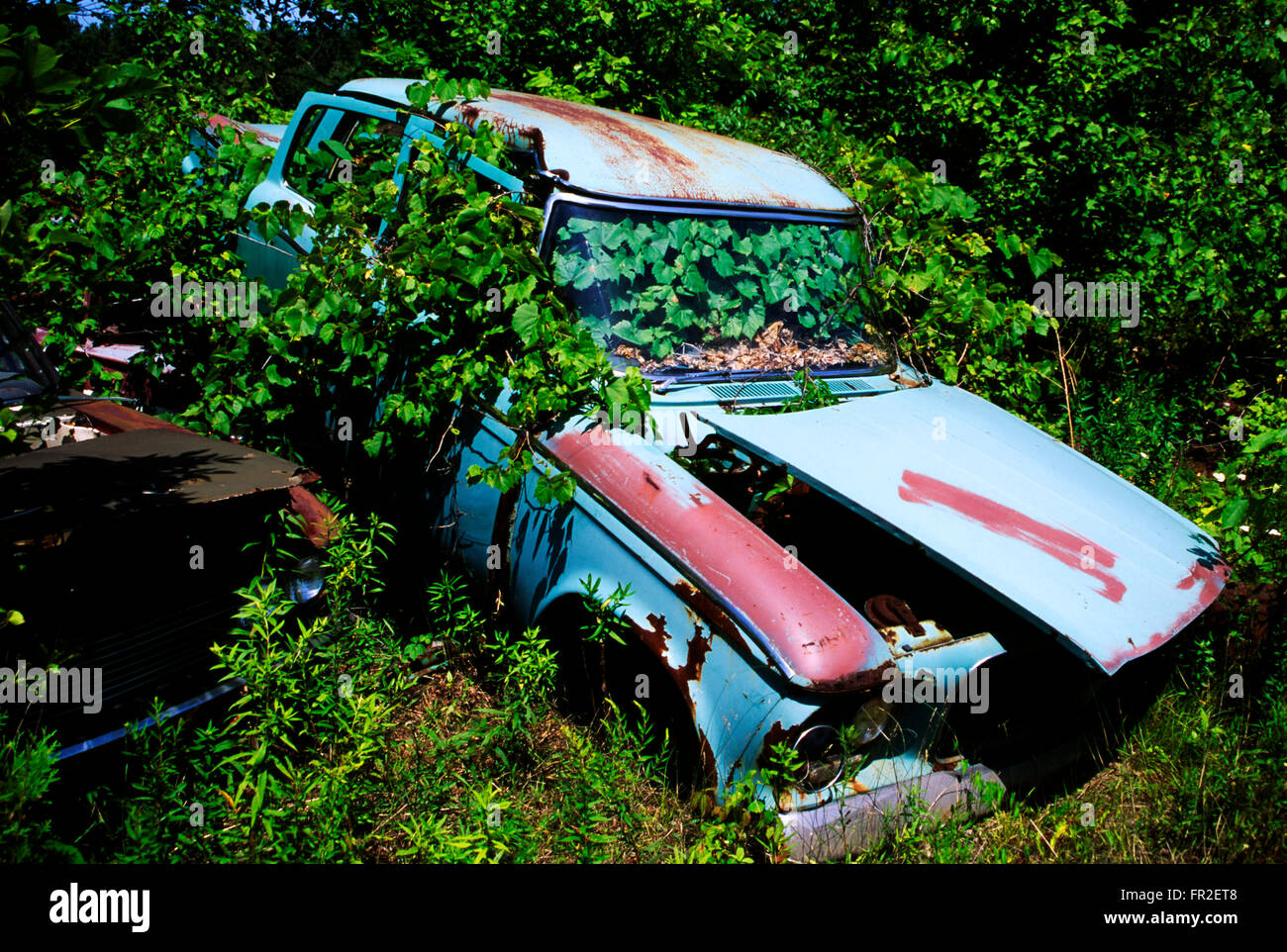 Old abandoned cars and pickup trucks in wrecking yard Stock Photo - Alamy
